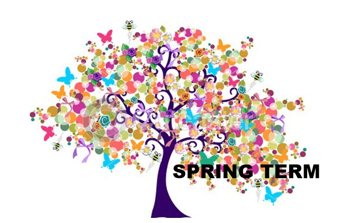 Year 6 – St Joseph’s Catholic Primary School